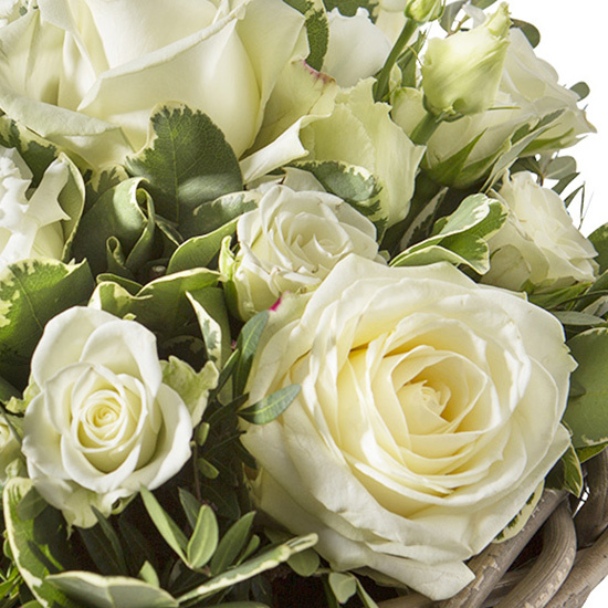 Composition roses blanches Colombe - Livraison de fleurs | 123Fleurs